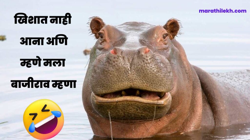 [199+] बेस्ट मराठी फिशपाँड | Funny Fishpond in Marathi 2024 - Marathi Lekh