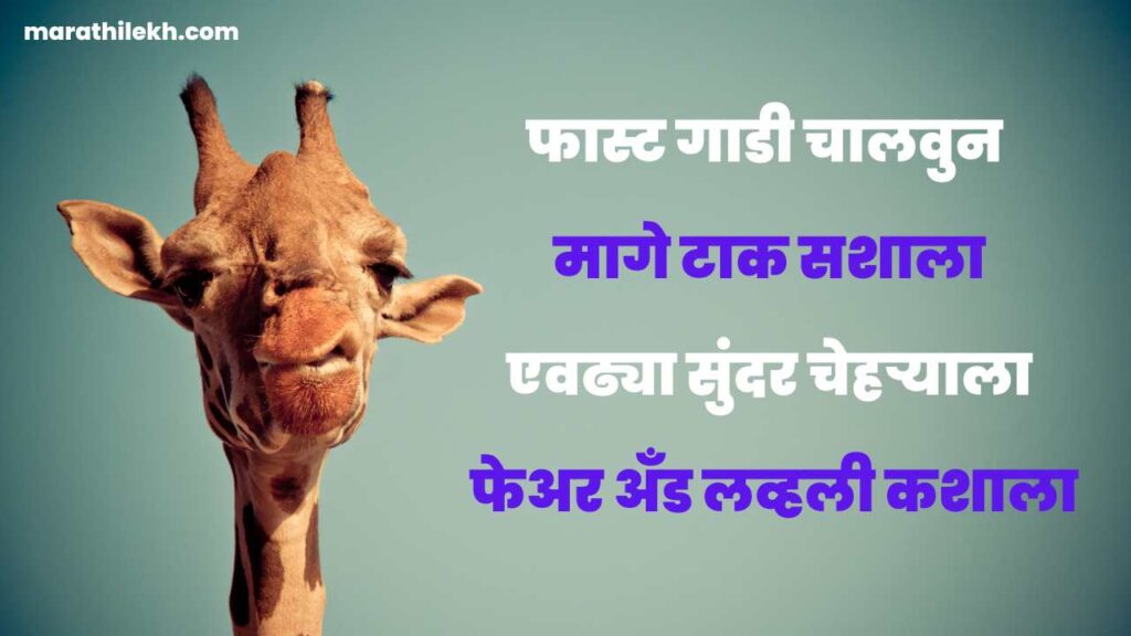 [199+] बेस्ट मराठी फिशपाँड | Funny Fishpond in Marathi 2024 - Marathi Lekh