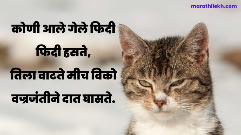 [199+] बेस्ट मराठी फिशपाँड | Funny Fishpond in Marathi 2024 - Marathi Lekh